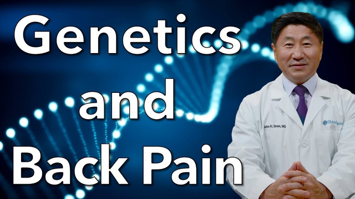 Genetics and Back Pain - ShimSpine