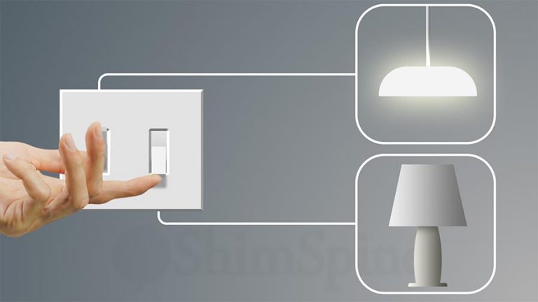 Why We Need A Spine - ShimSpine